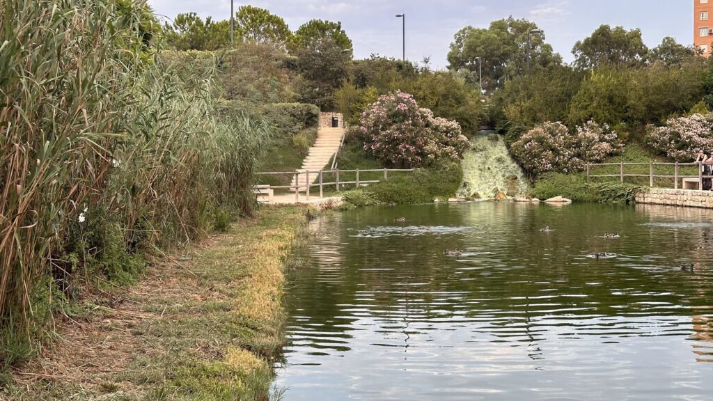La Marjal Floodable Park - ALICANTE City & Beach